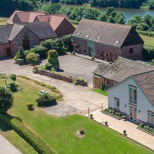 Check Availability – The Dinney