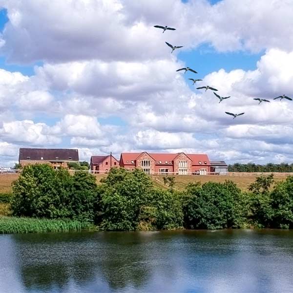 Check Availability – The Dinney