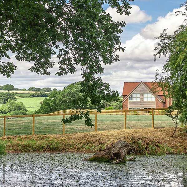 Check Availability – The Dinney